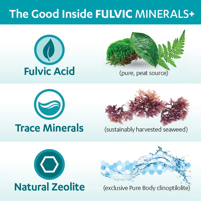 Fulvic Minerals | Vitality Rocks