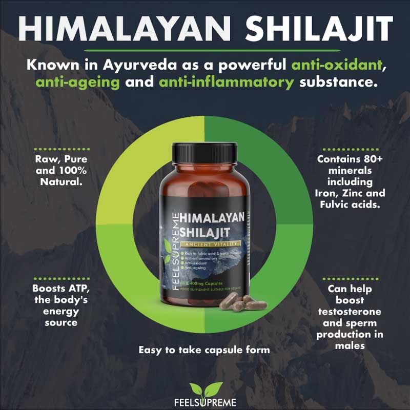 Himalayan Shilajit Capsules | Vitality Rocks